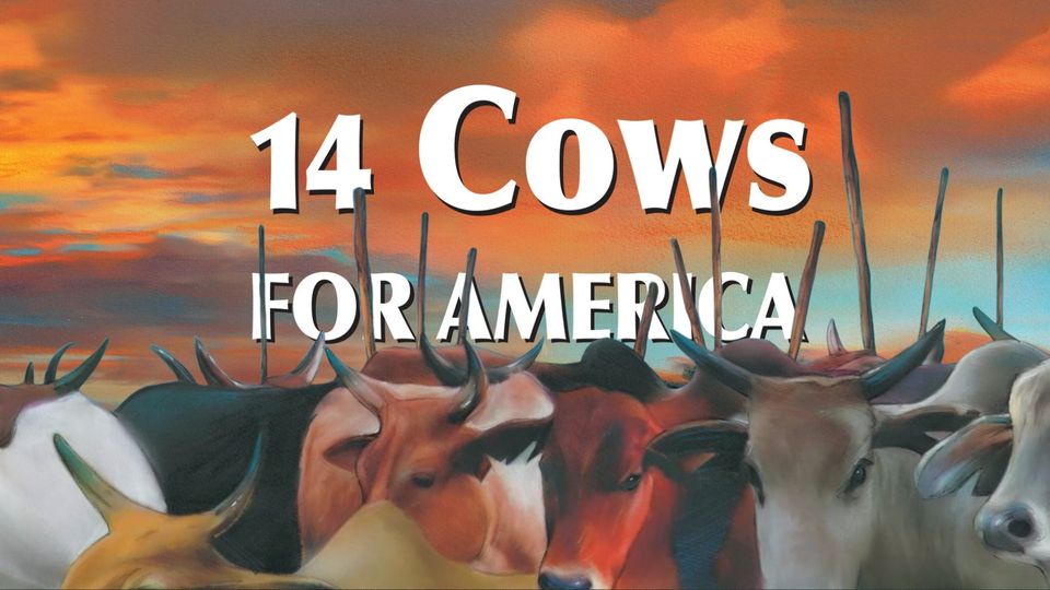 14 Cows for America | Afrokiddos